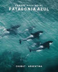Crean el Parque Provincial Patagonia Azul en Chubut